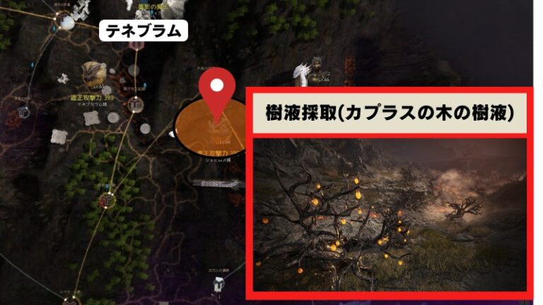 【黒い砂漠】ノストスの星の採集結果まとめ！何時間で完成する？時給も紹介！ | ゆめちょこブログ